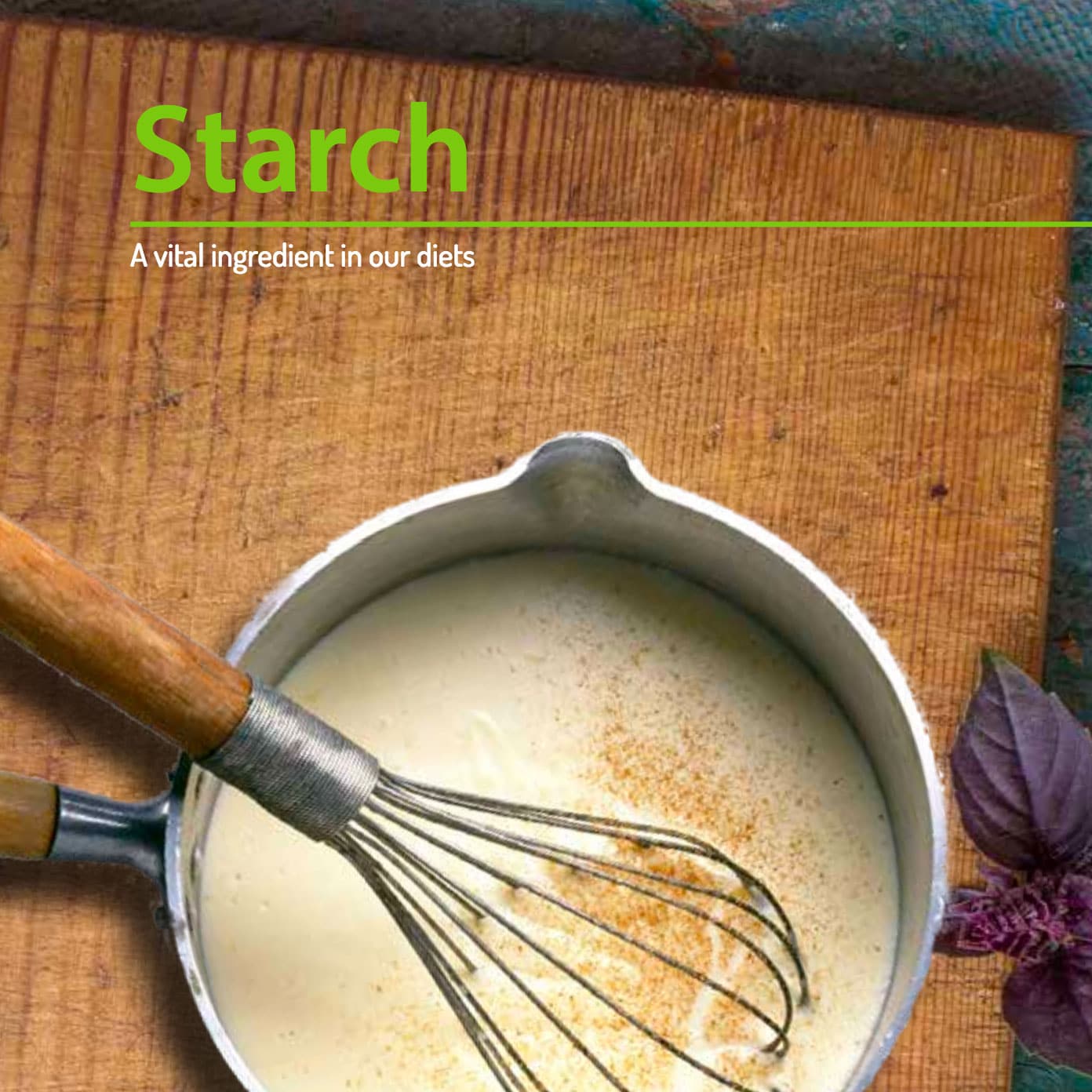 Starch - Starch in Food